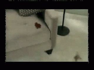 7 Thoughts You Have While Going Commando