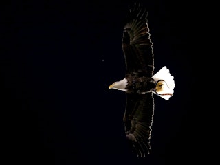 8 Brutal Ways People Were Put To Death Throughout History That Will ...