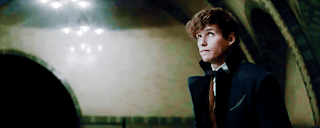 Who Is Newt's Brother In 'Fantastic Beasts & Where To Find Them'? He's ...