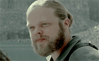 What Happens To Pollux In 'Mockingjay'? The Book Gives Some More ...
