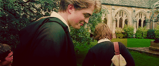 Craig & Cedric's Connection In 'Harry Potter & The Cursed Child' Could ...