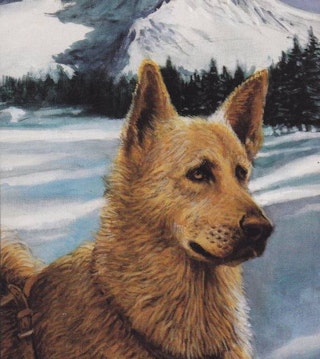 The 11 Best Literary Dogs of All Time