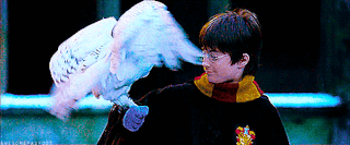 14 Things I Noticed Rewatching 'Harry Potter And The Deathly Hallows ...