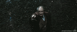 Hogwarts Professors, Ranked: From Snape to Slughorn