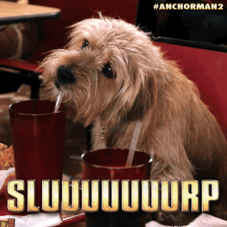 'Anchorman' Turns 10 & We Wonder What Ever Happened to the Dog Who ...