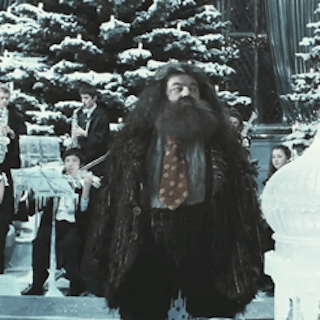 9 Reasons Hagrid Is The Best Harry Potter Character