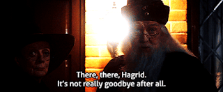 10 Harry Potter Quotes About Saying Goodbye, No Matter How Hard It Is