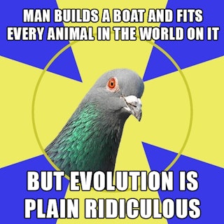 How To Argue For Evolution: 7 Common Creationist Arguments, Debunked